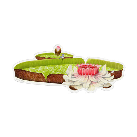 Victoria Water Lilies - Vinyl Sticker by Felix Doolittle x Longwood Gardens