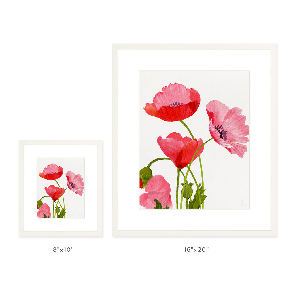 Pink Poppies - Art Print by Felix Doolittle