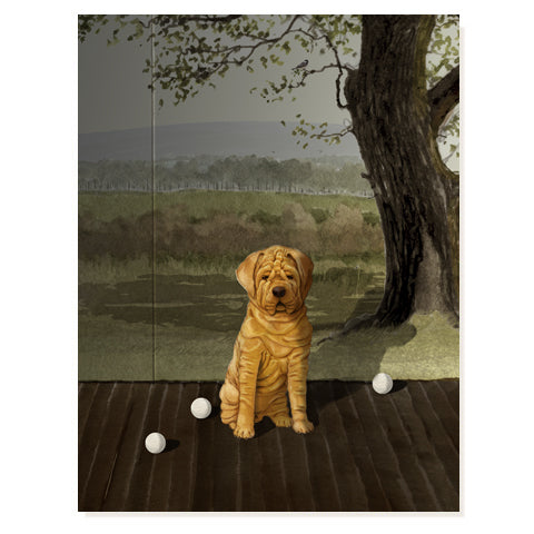 Shar Pei: Wrinkly Puppy Card | Felix Doolittle